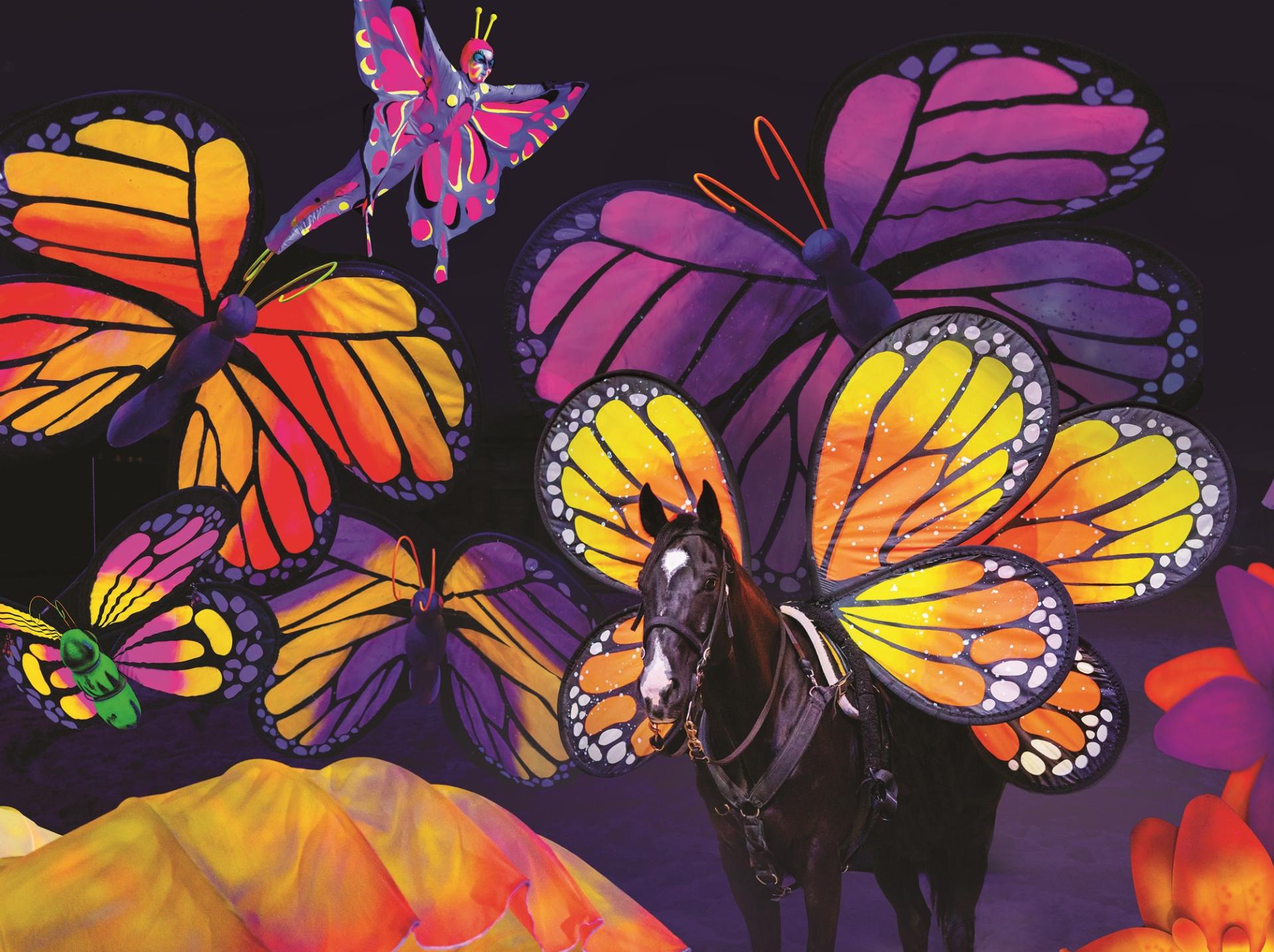 Dolly Parton's Stampede in Branson Returns with New Thrills and Adventures | Explore Branson